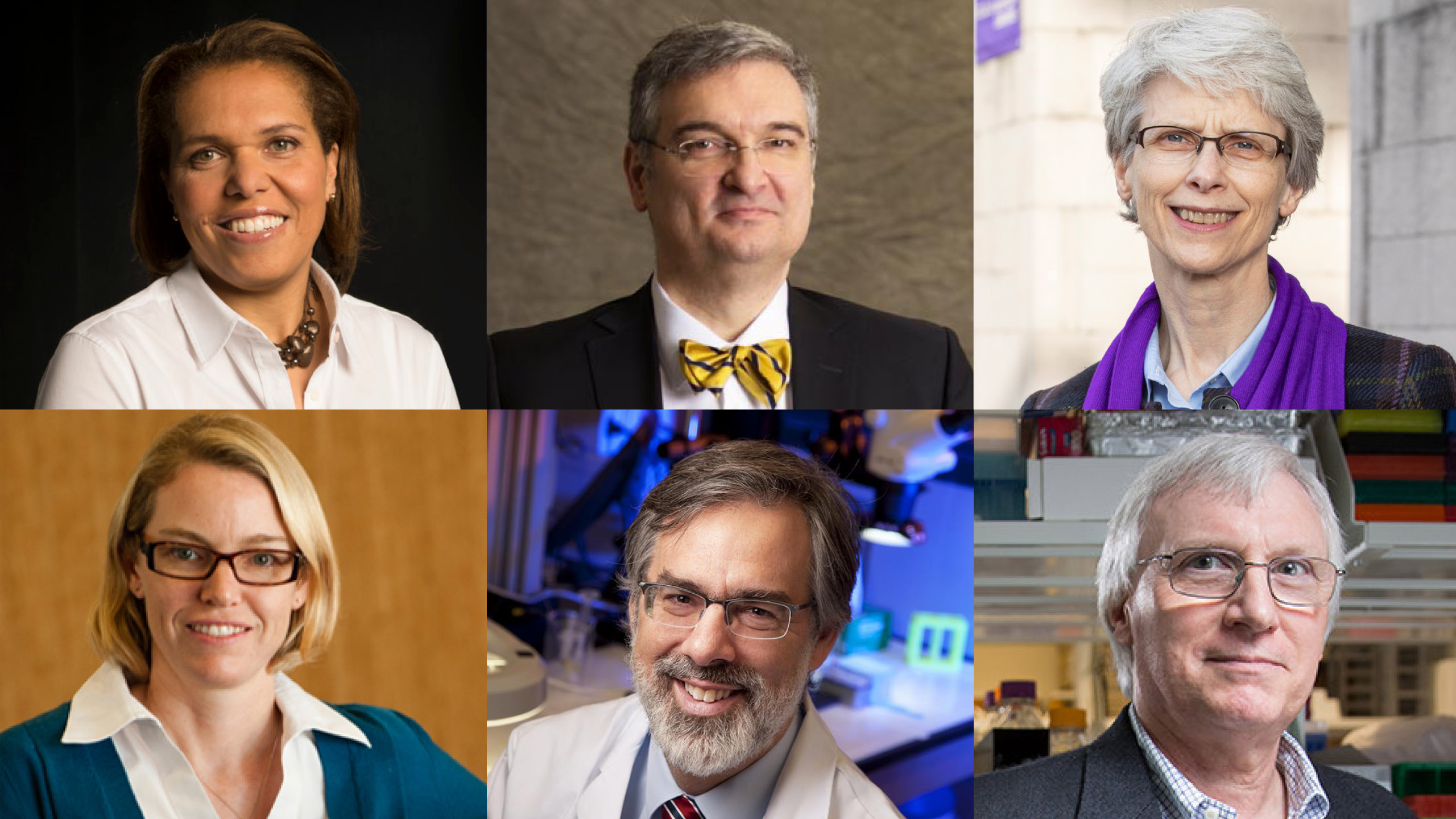 SBME Introduces: Our New Executive Advisory Committee - UBC - SBME